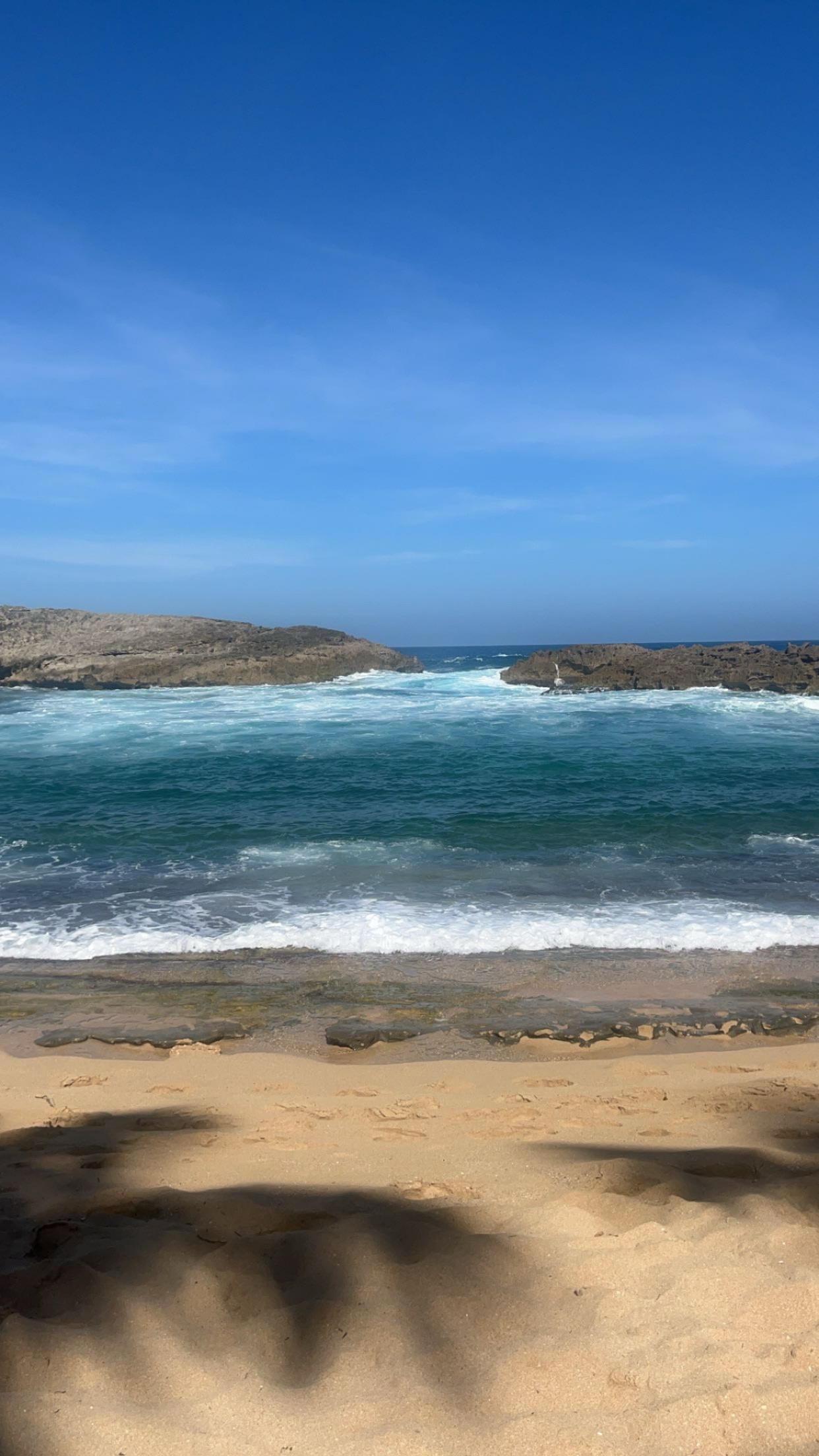 Poetry Submission: An Original Sonnet – The Raider Press